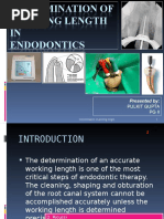 14.endodontic Working Width - Dr. Saloni | PDF | Mouth | Dentistry