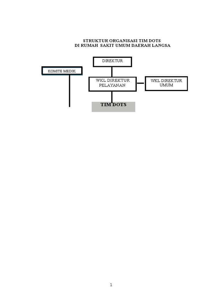 Struktur TB Dots | PDF