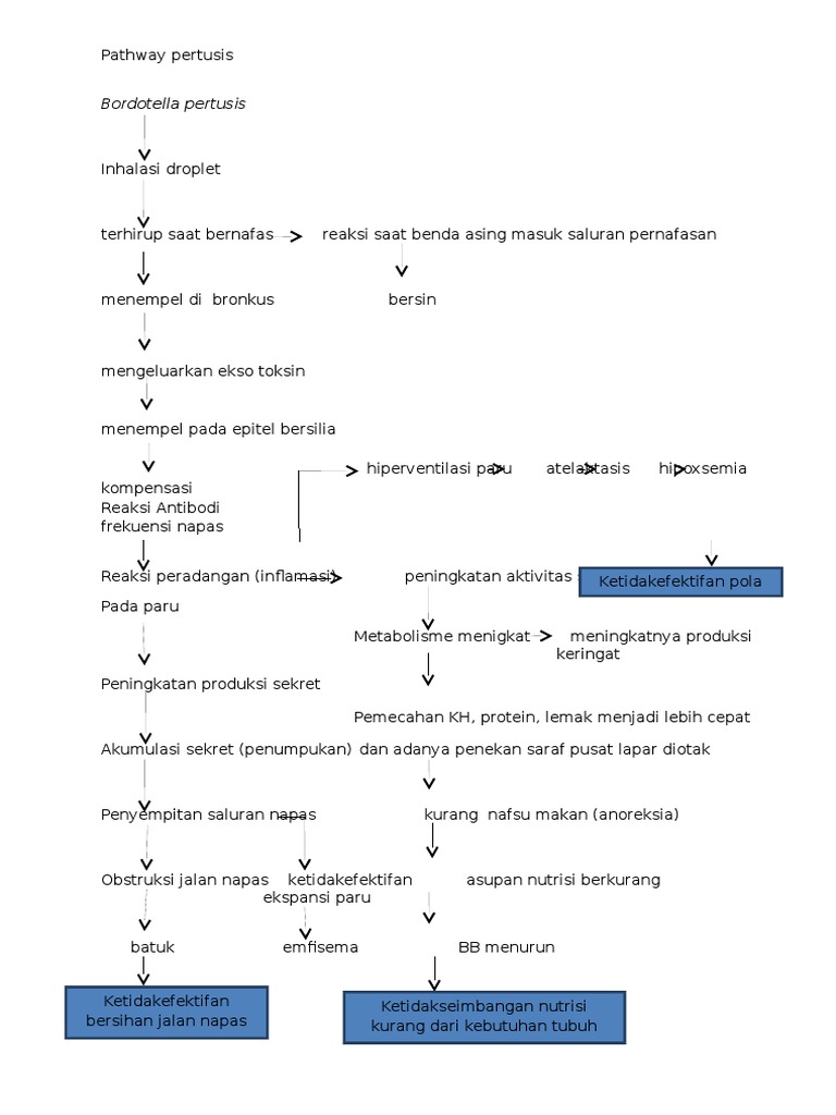 Pathway Pertusis | PDF