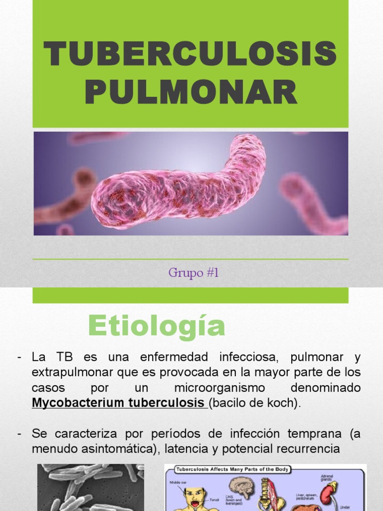 Tuberculosis | Macrófago | Tuberculosis