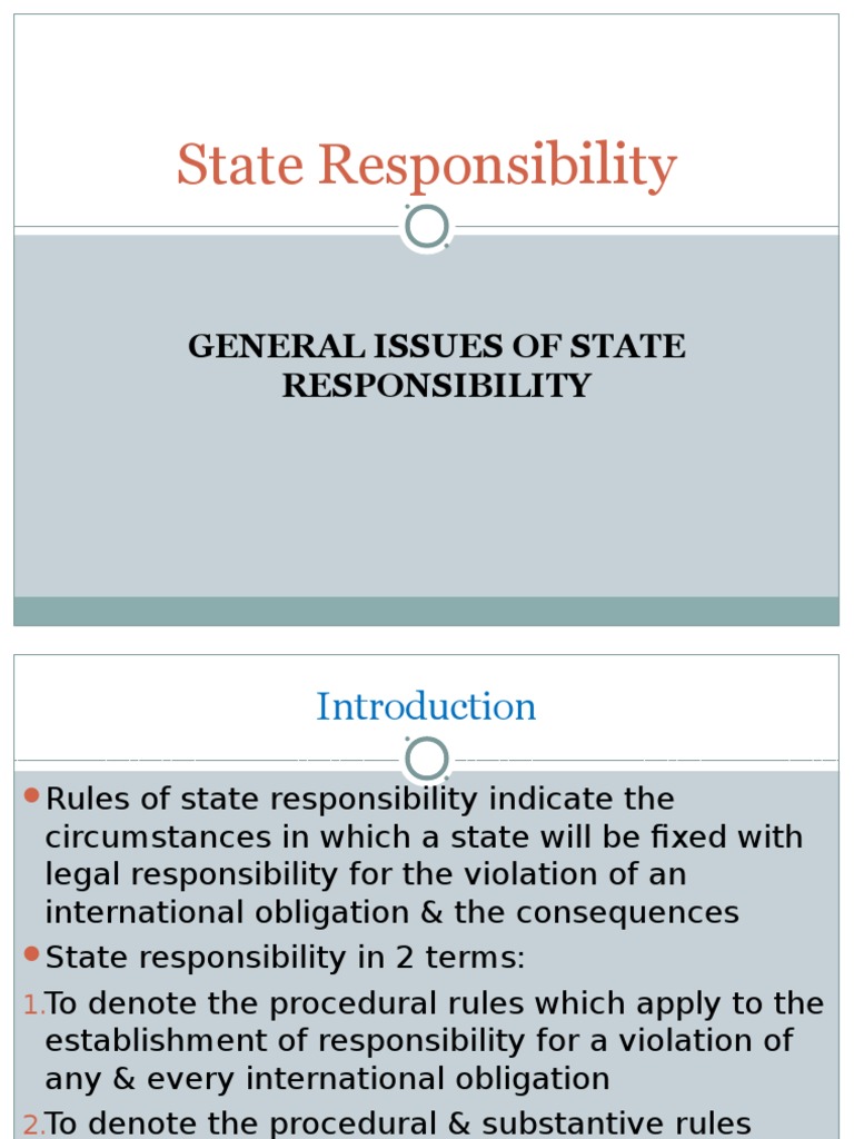 State Responsibility | PDF | Government | Justice