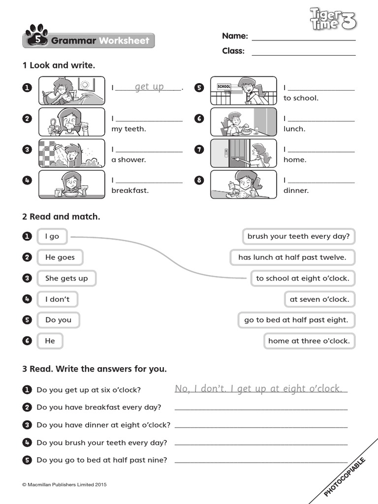 Tiger Time 3 U5 Grammar PDF | PDF