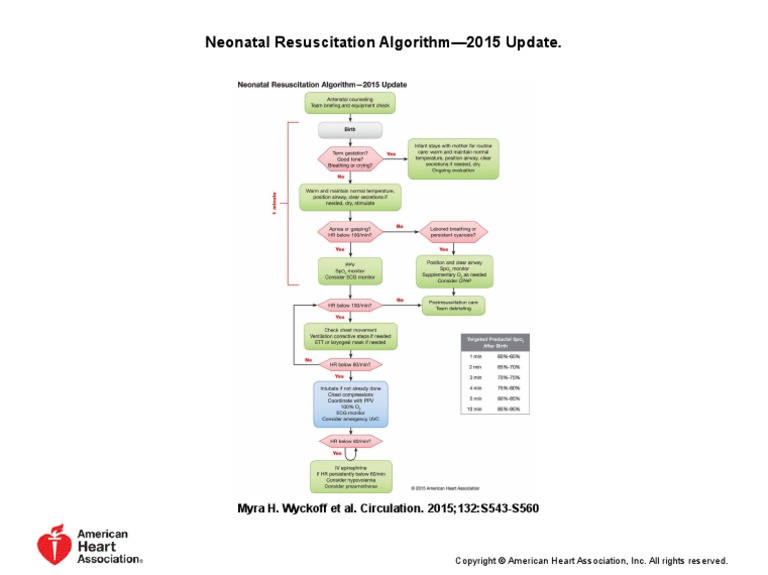 Neonatal Resuscitation | PDF