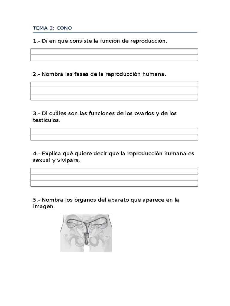 Tema 3 Cono Examen | PDF