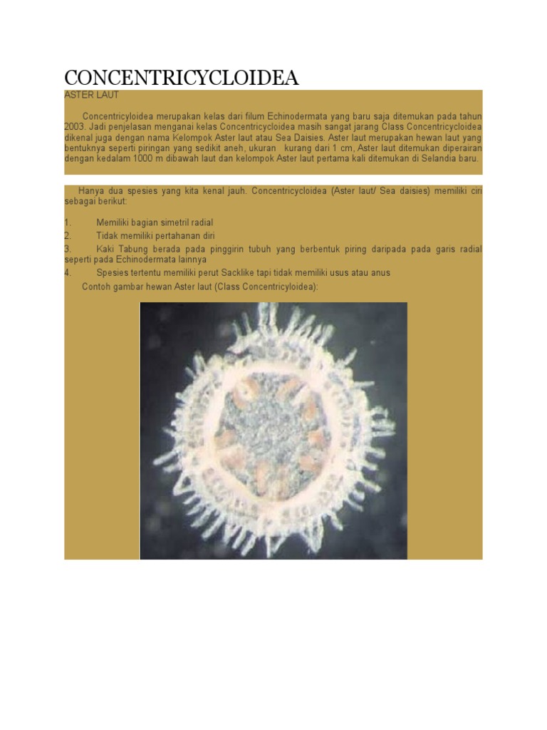 CONCENTRICYCLOIDEA | PDF | Ilmu Sosial | Griya & Taman