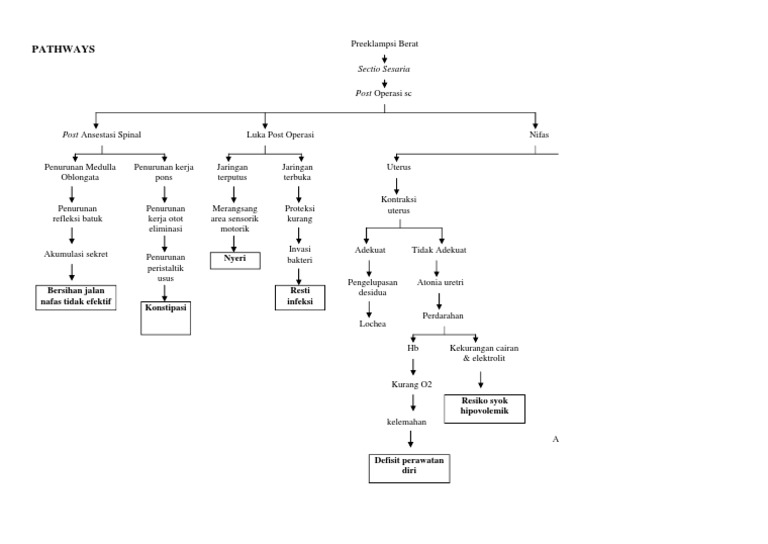 WOC Post SC With Peb | PDF