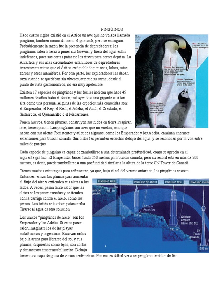 Pinguinos | PDF | Pingüino | Aves