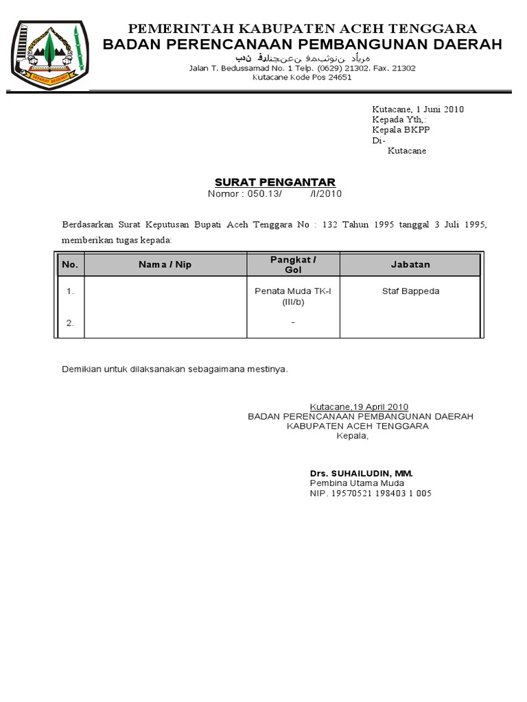 Surat Tugas Bappeda Aceh Tenggara | PDF