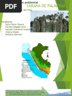 Sabana Húmeda Con Palmeras (Pampas Del Heath) | PDF | Deforestación ...