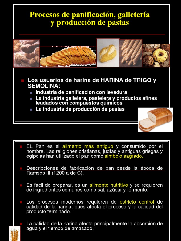 2- Procesos de Panificación | Panes | Trigo