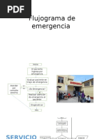 Organización y Funciones de IPRESS | PDF | Hospital | Sistema de salud