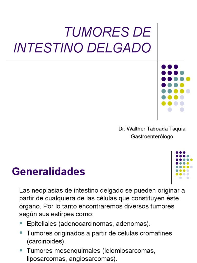 Tumores del Intestino Delgado: Tipos y Riesgos | PDF | Intestino ...