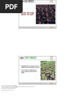 SCA - Simplified Cupping Form Version2 | PDF | Cooking, Food & Wine