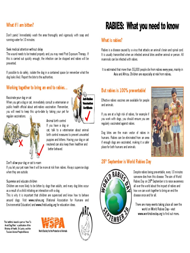 3. Rabies Public Leaflet Eng | Rabies | Dogs