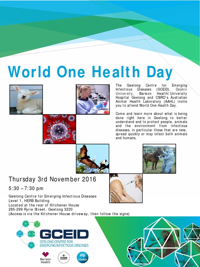 World One Health Day | PDF