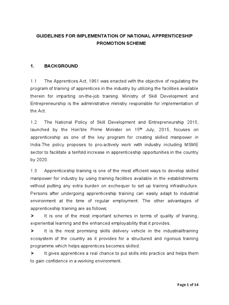 NAPS Guidelines | PDF | Apprenticeship | Employment