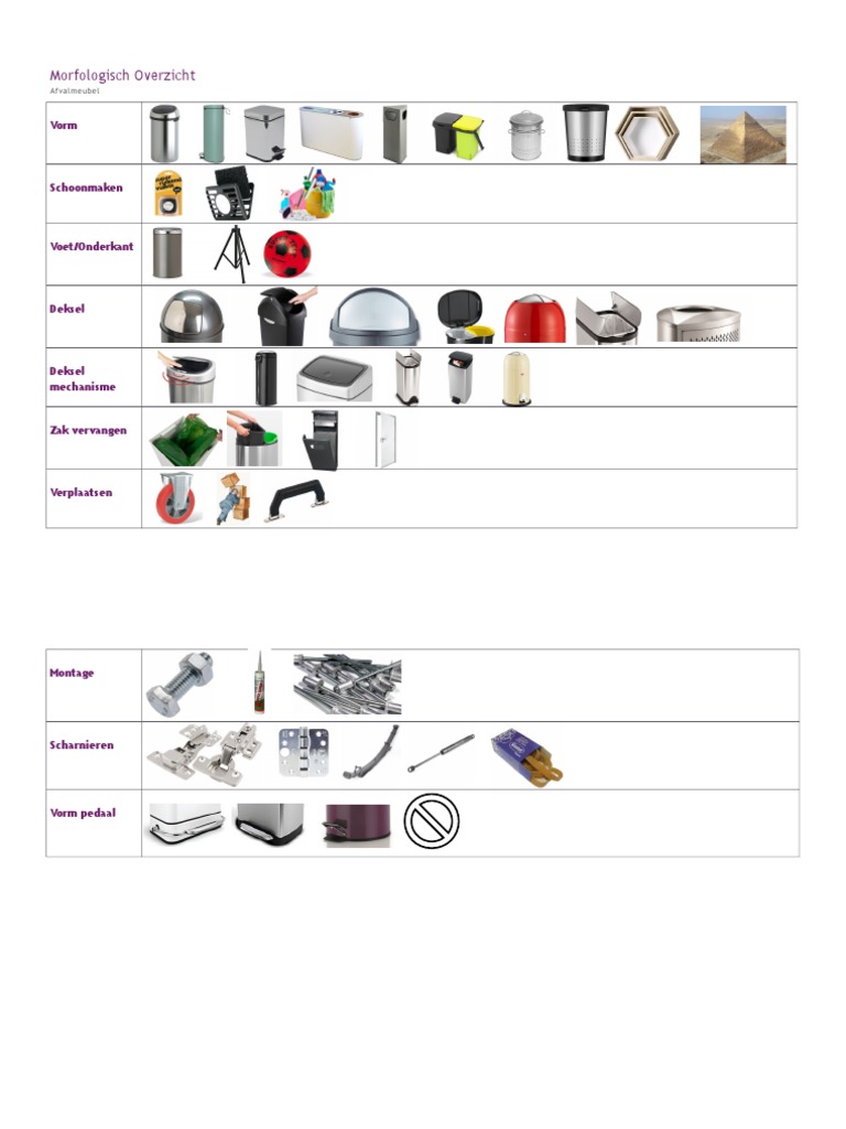 Morfologisch Overzicht | PDF