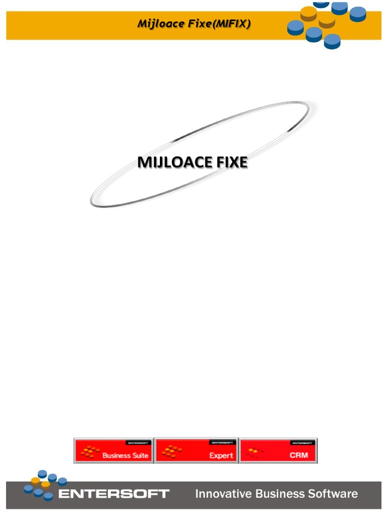 Mijloace Fixe PDF | PDF