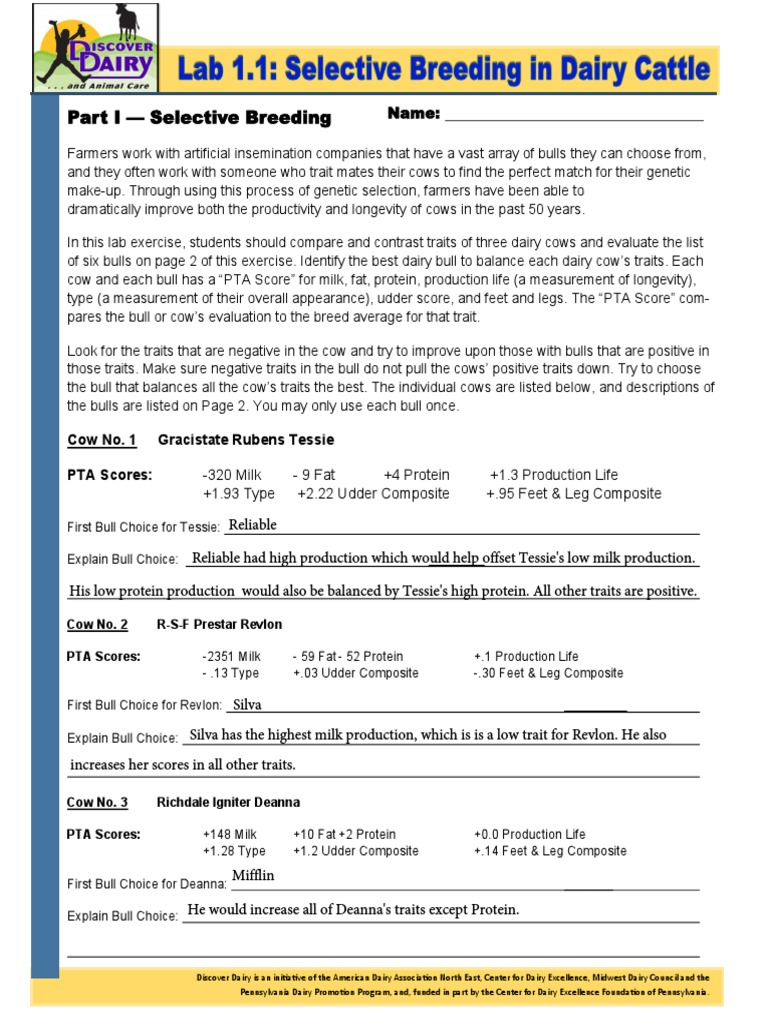 PHP 0 Asl Vy | PDF | Dairy Cattle | Bull