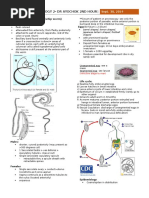 Paramphistomes | PDF
