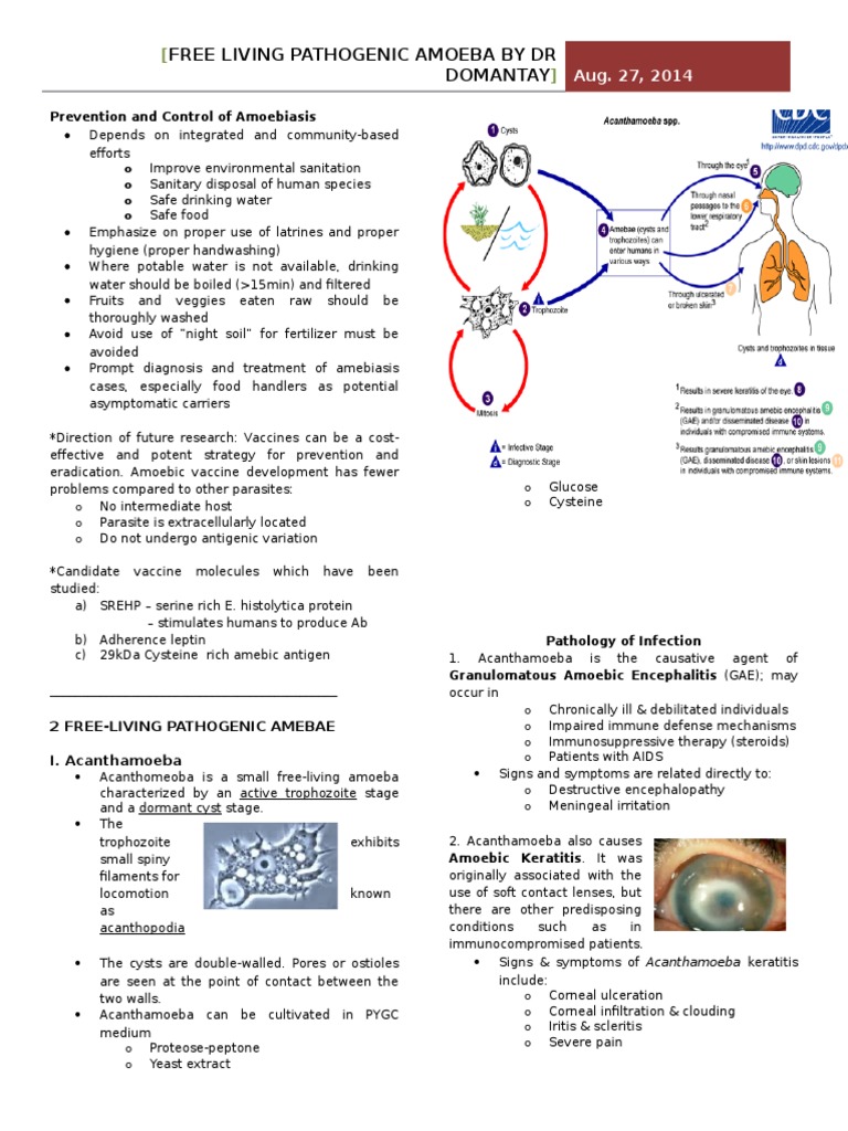Prevention and Control of Amoebiasis and Free-Living Pathogenic Amoebae ...
