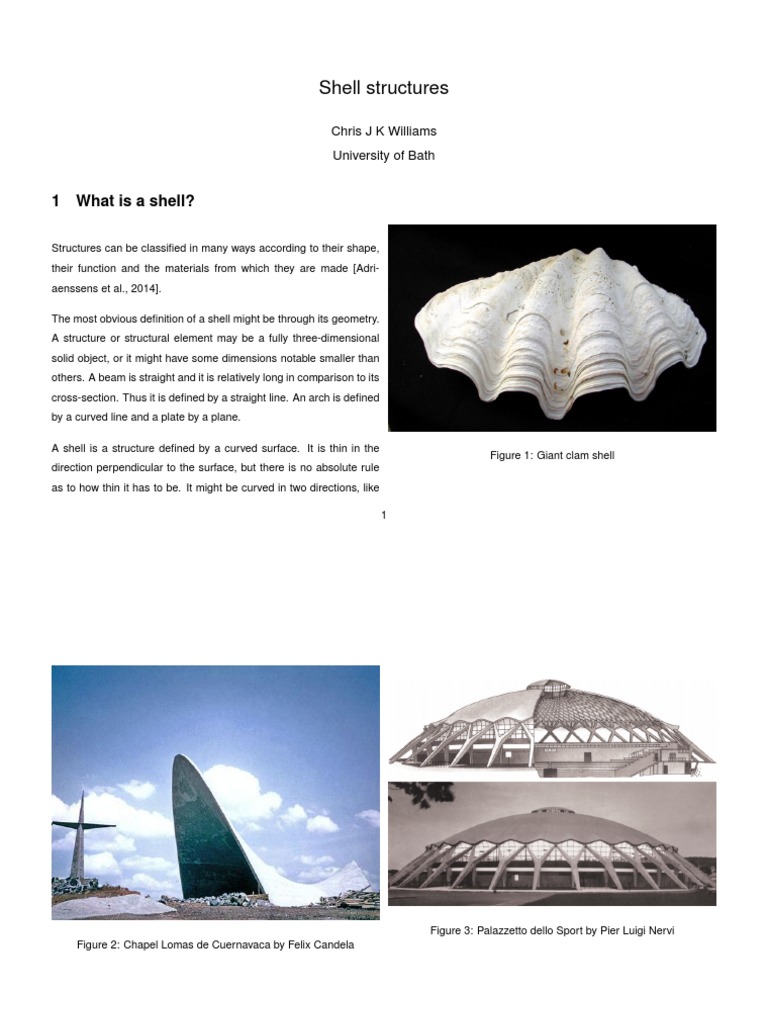 Shell Structures: 1 What Is A Shell? | PDF | Bending | Stress (Mechanics)