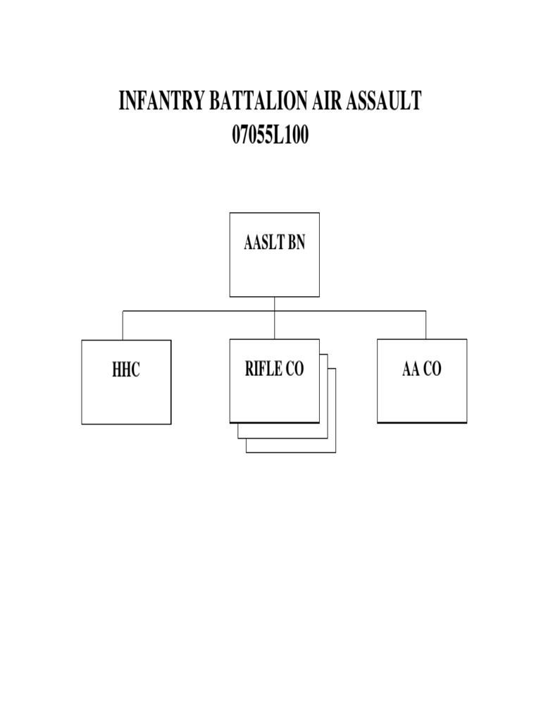 Inf BN Air Assualt TOE 07055L100 | PDF | Staff Sergeant | Sergeant