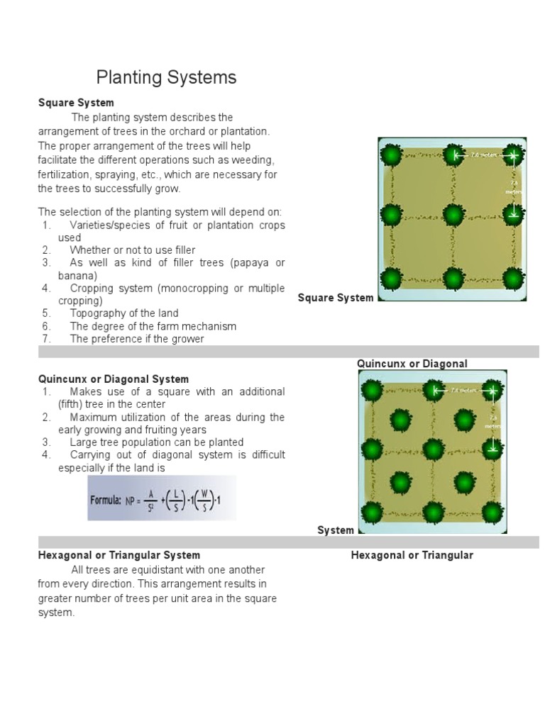 Planting Systems | PDF | Grafting | Mulch