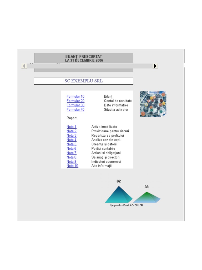 Bilant Excel Exemplu | PDF