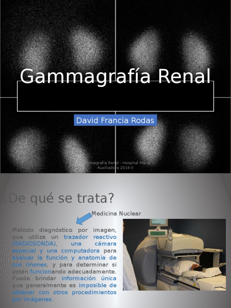 Gammagrafía Renal | PDF