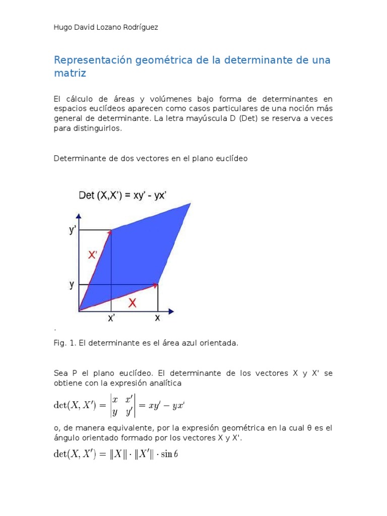 Representación Geométrica de La Determinante de Una Matriz | PDF