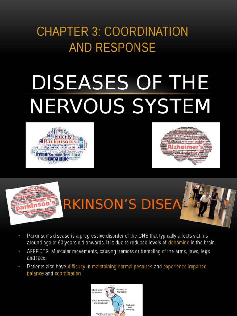 Nervous System Diseases Overview | PDF