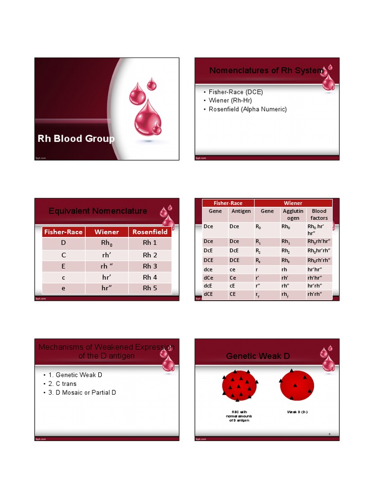 Rh Blood Group Nomenclature Overview | PDF | Teaching Methods ...
