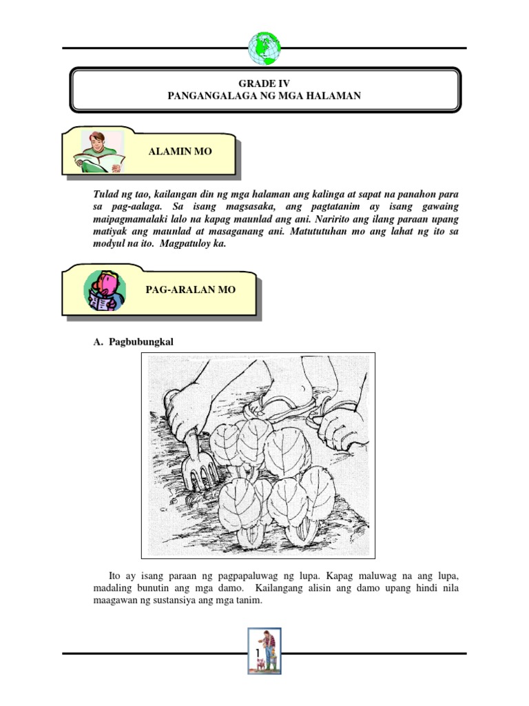 17.pangangalaga NG Halaman | PDF