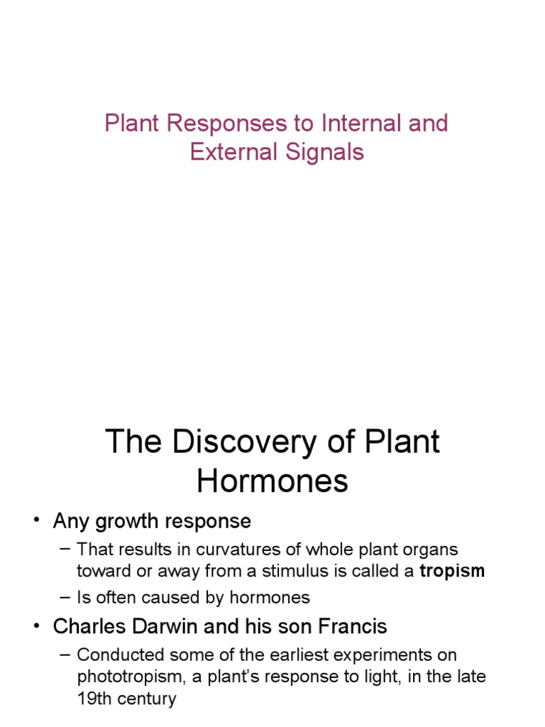 Plant Responses To Internal and External Signals | PDF | Auxin | Plant ...