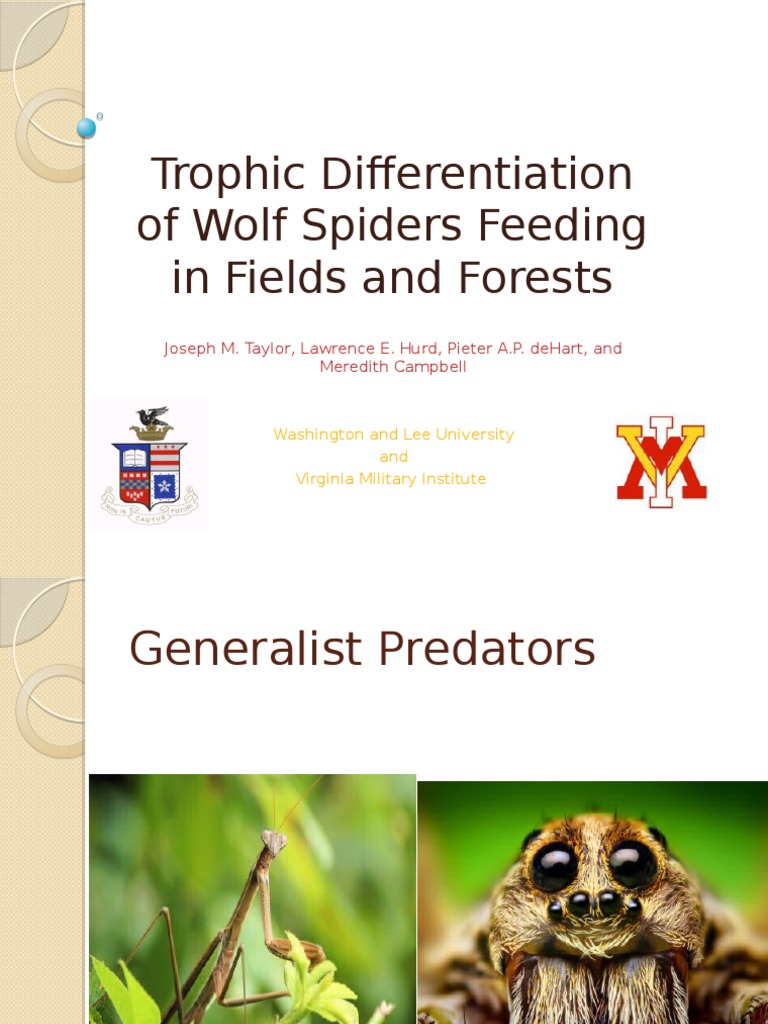 Trophic Levels of Wolf Spiders in Habitats | PDF