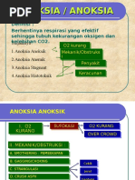 Contusio Musculorum | PDF