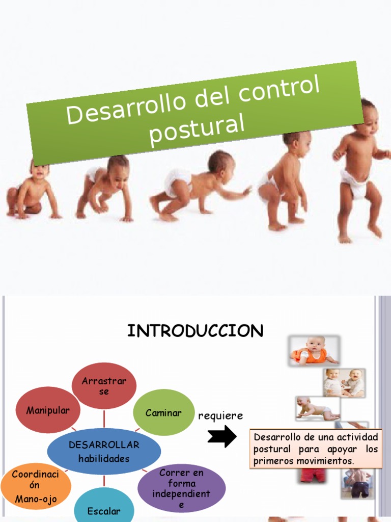 Desarrollo Del Control Postural | PDF | Neurona | Comportamiento