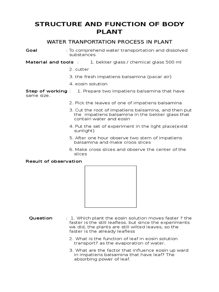Plant Anatomy and Water Transport Study | PDF | Plant Stem | Root