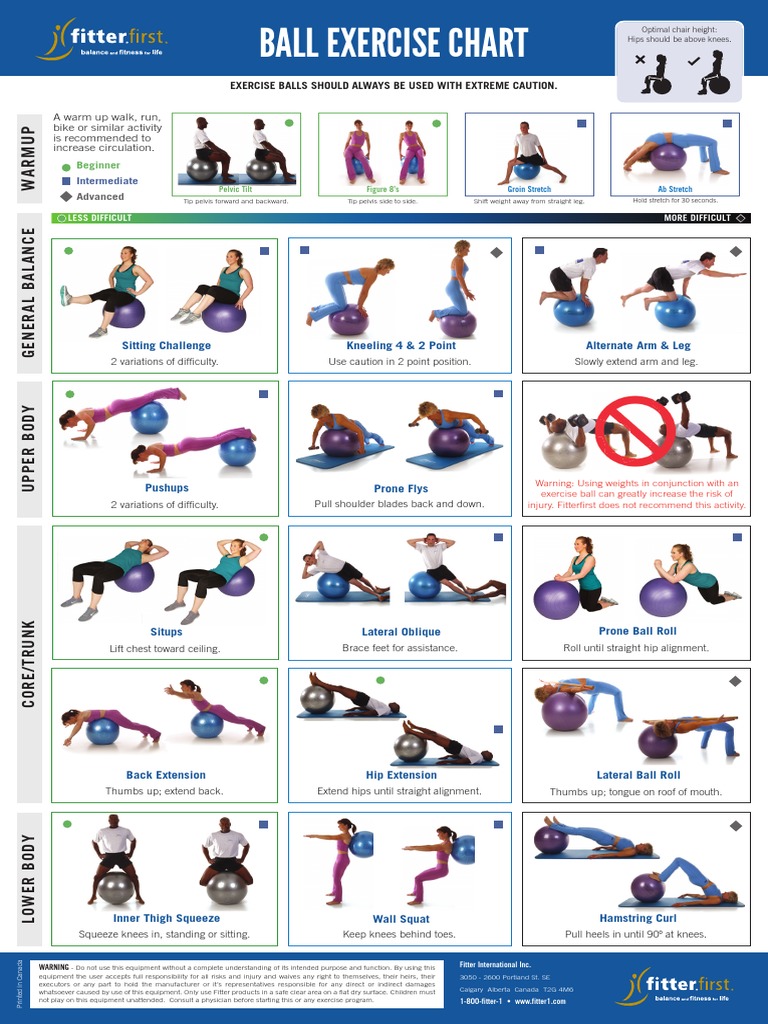 Ball Ex Chart 2014a | PDF | Pelvis | Sports