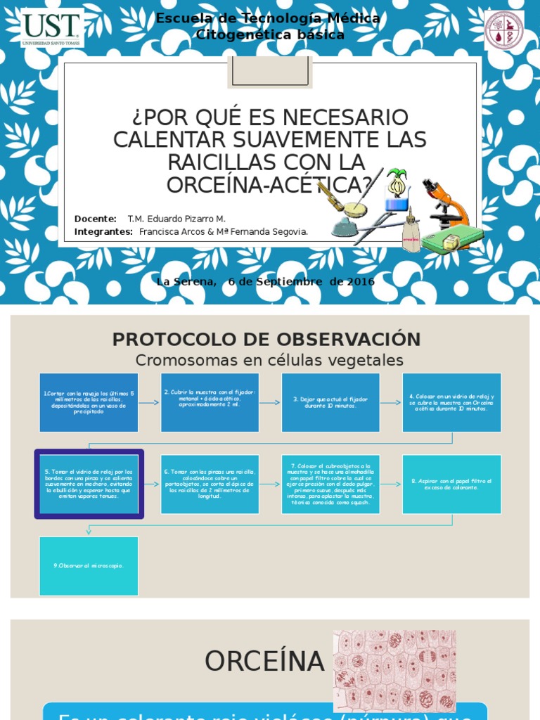 porque calentar la orceina | Membrana celular | Biología Celular)