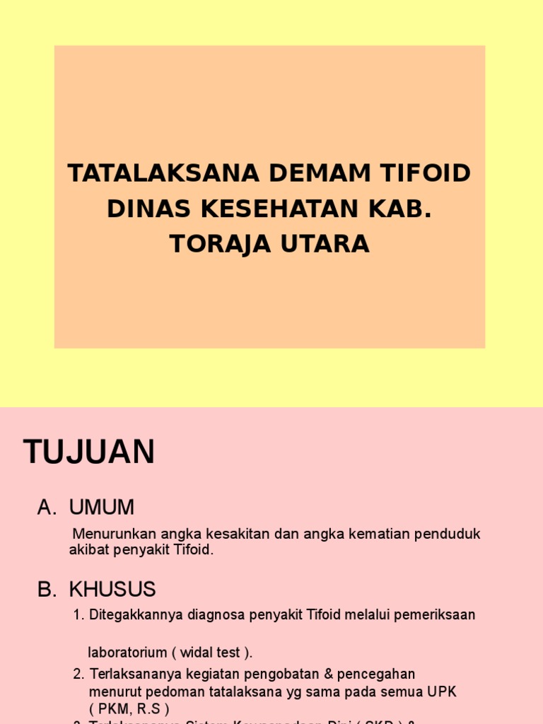 Tatalaksana Demam Tifoid | PDF