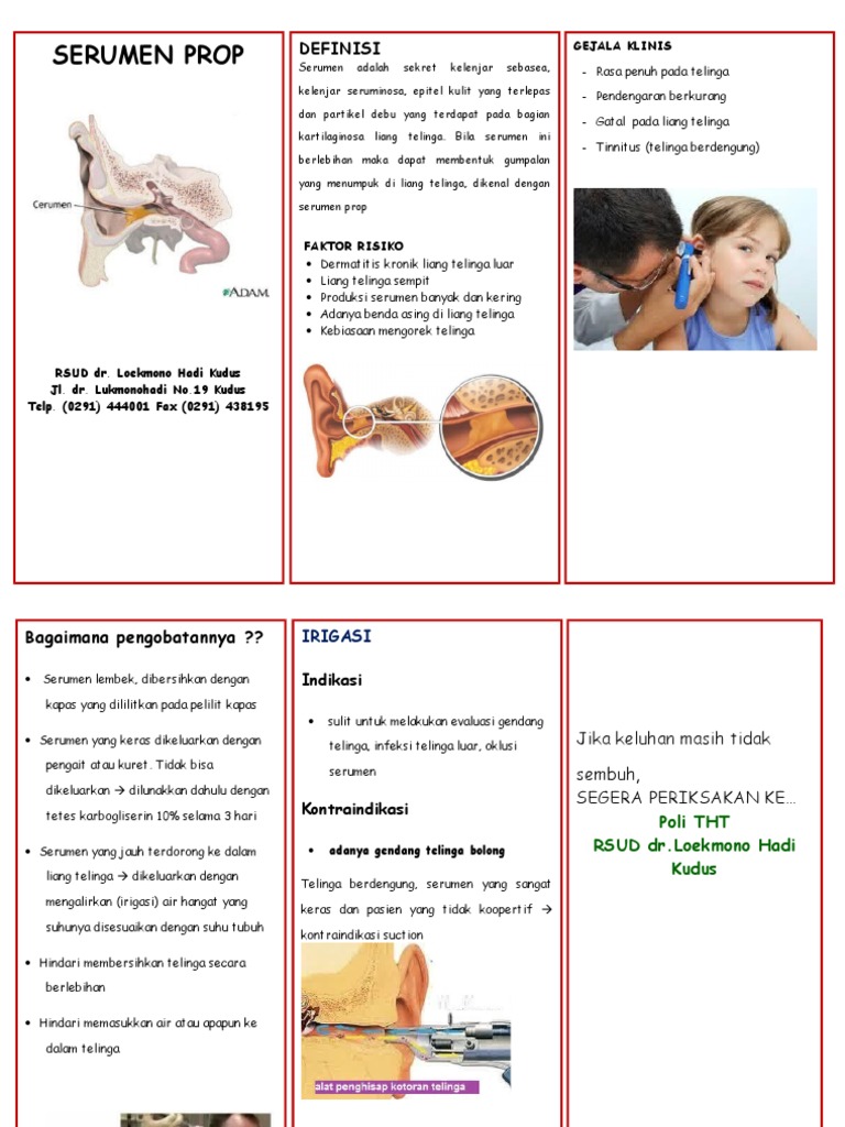 Leaflet Serumen Prop | PDF