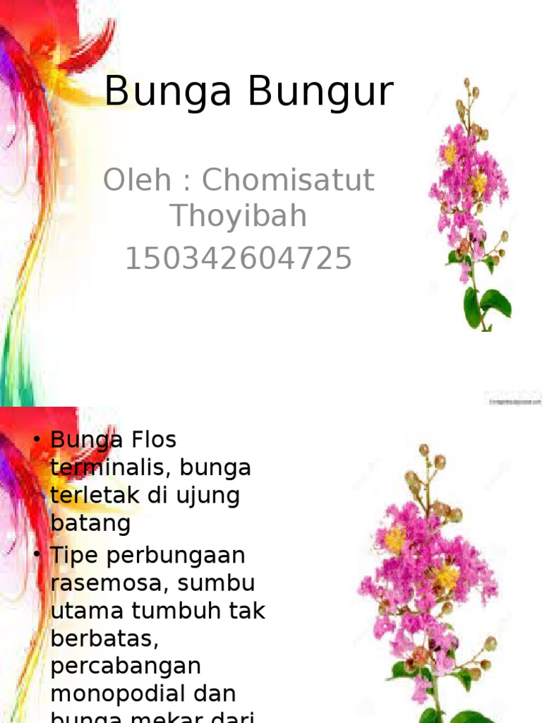 Struktur dan Klasifikasi Bunga Bungur | PDF | Griya & Taman