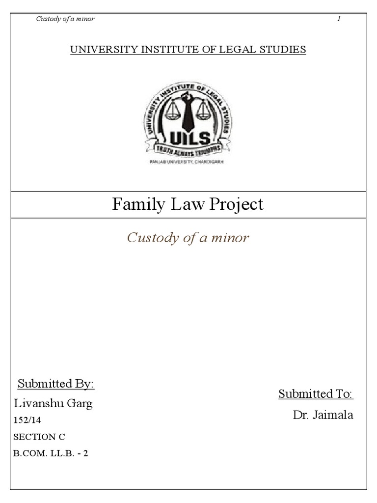 Custody of A Minor | PDF | Legal Guardian | Child Custody