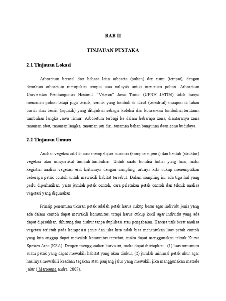 Contoh Tinjauan Pustaka | PDF