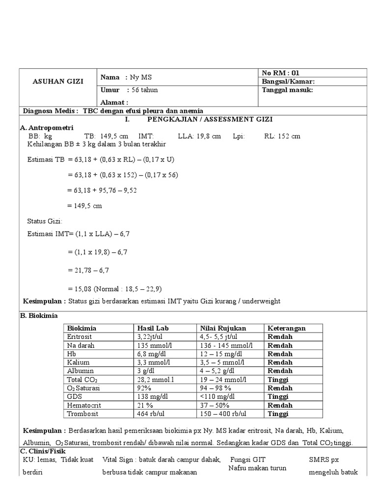 Menu Diet Pasien TBC | PDF