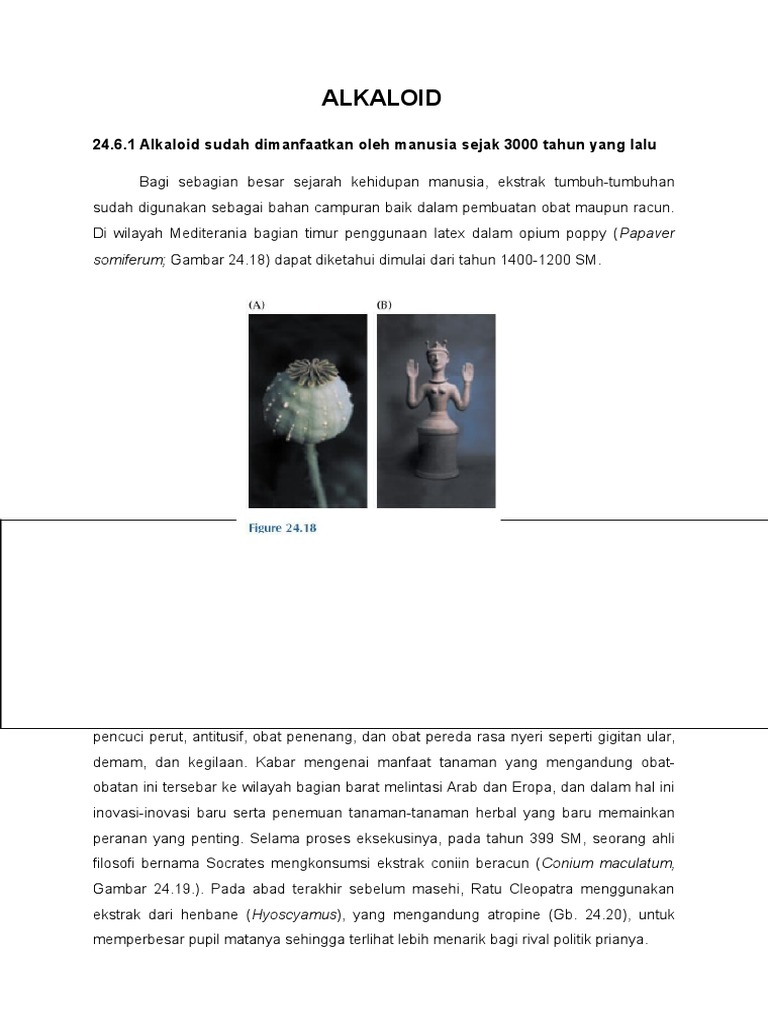 Alkaloid | PDF