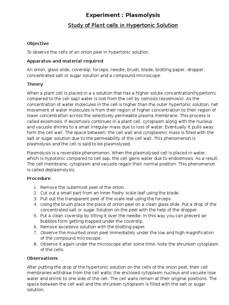 Plasmolysis in Onion Cells Experiment | PDF | Osmosis | Cell Biology