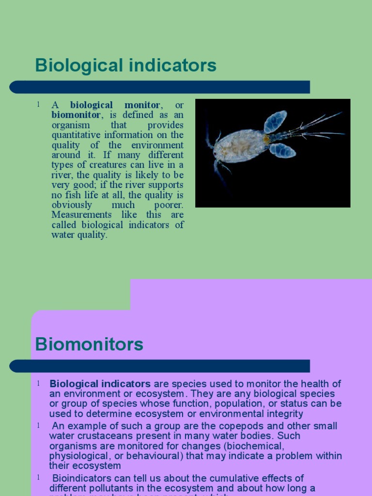Biological Indicators | Water Pollution | Water Quality